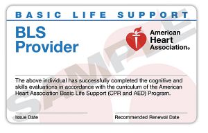 Basic Life Support (BLS) Course Completion eCard (Sold in sets of 5 ...