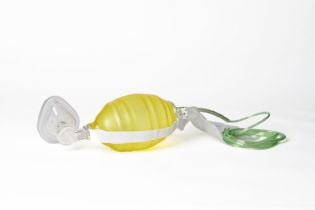 The BAG II® Disposable Resusitator/ Bag Valve Mask – PPM Company Store